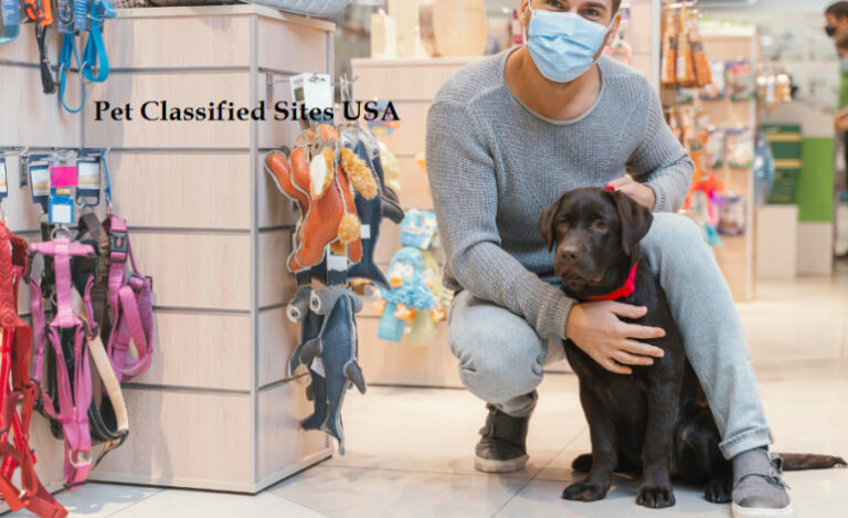 99+ Free Pets Classifieds Sites to Buy & Sell Animals Online USA